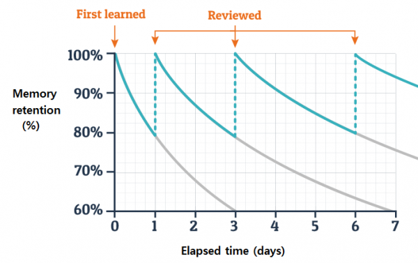 What is the Forgetting Curve? - Food Safe Passport