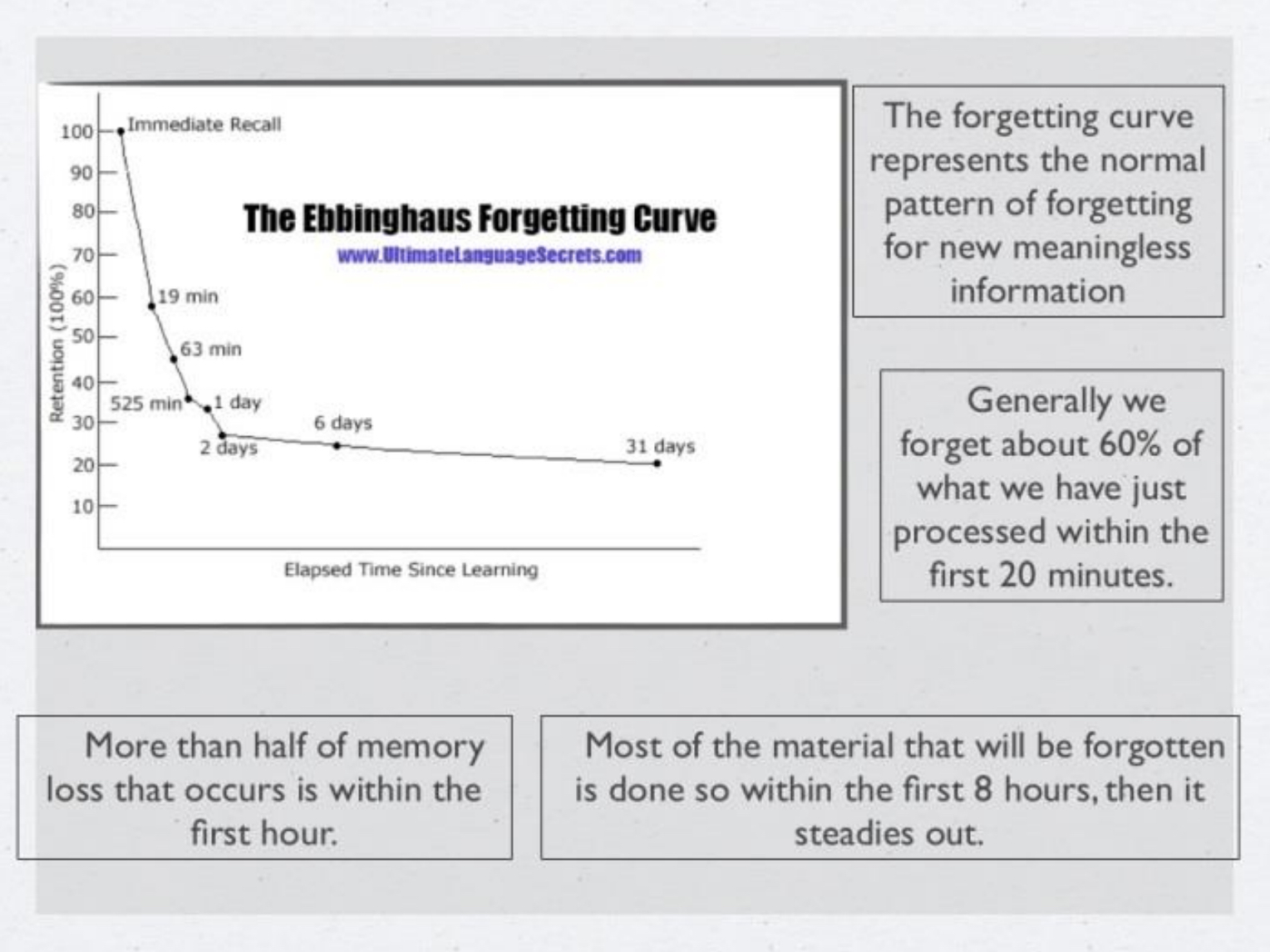 What is the Forgetting Curve? - Food Safe Passport